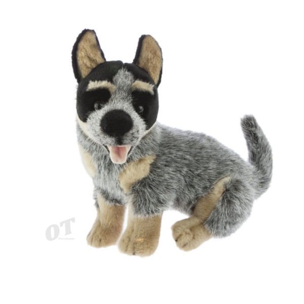 AMAZING BABY BLUEY AUSTRALIAN CATTLE DOG 800g